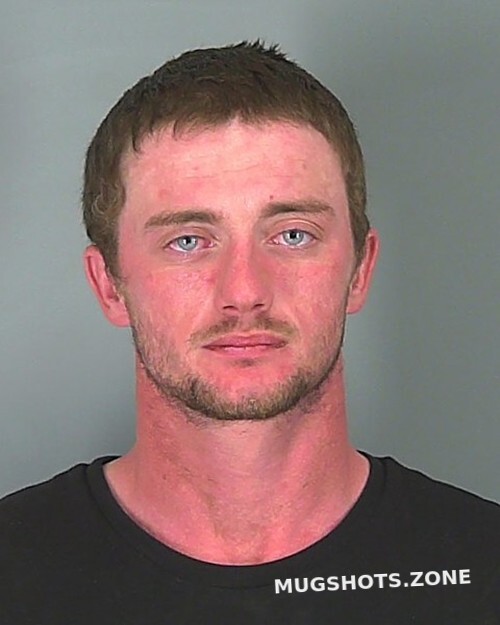 ADAM CHRISTOPHER OWENS 03/19/2025 - Spartanburg County Mugshots Zone