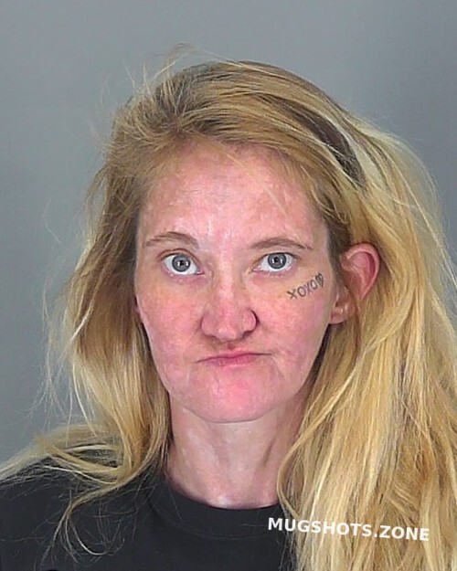 JAMIE LYNN BURNETTE 03/20/2025 - Spartanburg County Mugshots Zone