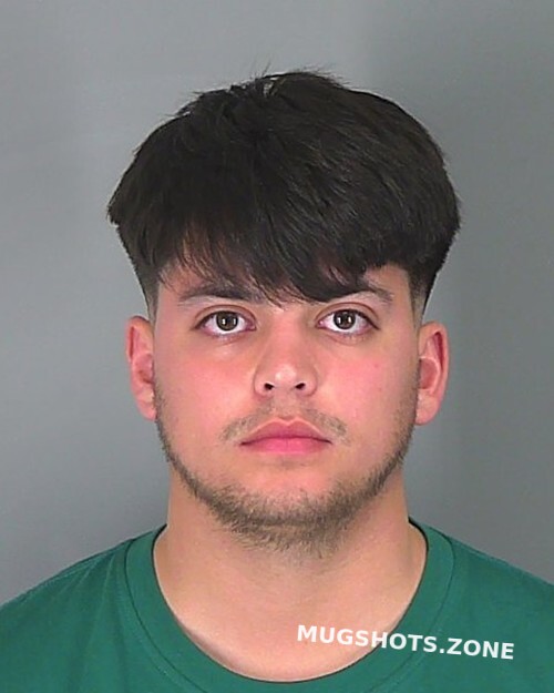 MICHAEL DANIEL LONG 03/23/2025 - Spartanburg County Mugshots Zone