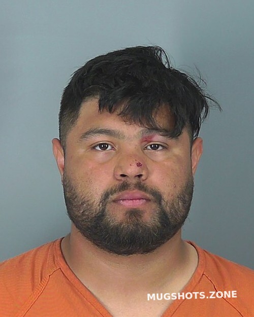 SERGIO ENRIQUE RODRIGUEZ-RAYGADAS 04/06/2025 - Spartanburg County ...