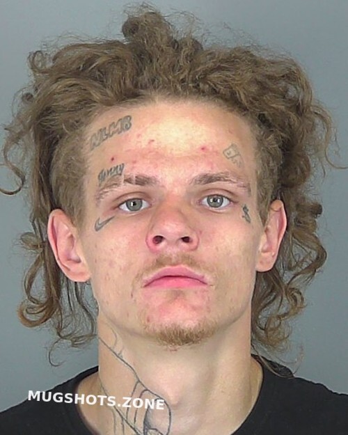 DAVID SHANE POWELL 04/23/2025 - Spartanburg County Mugshots Zone