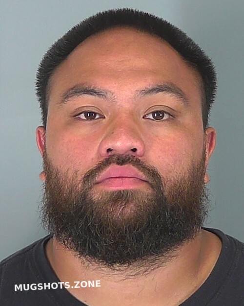 FINE FEVIAKI HAFOKA 05/02/2025 - Spartanburg County Mugshots Zone