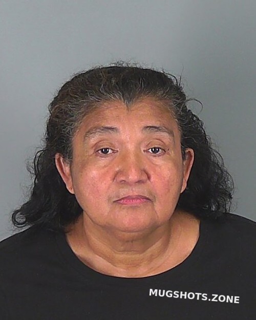 IRIS ONEIDA DUARTE 05/18/2025 - Spartanburg County Mugshots Zone