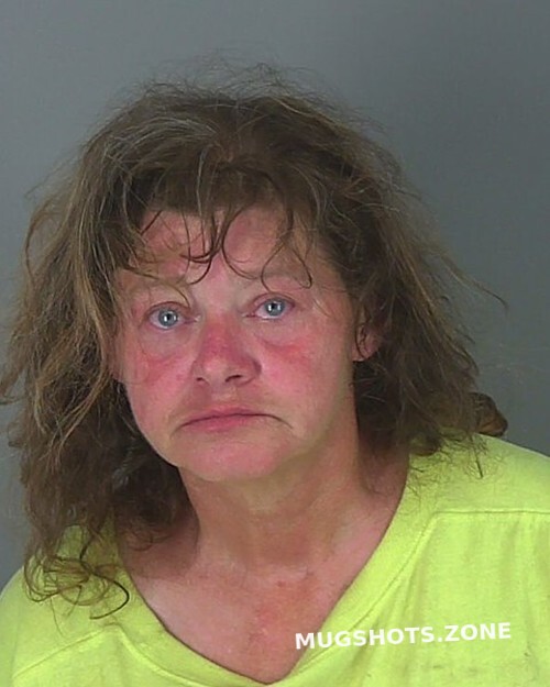 DONNA SMITH LAPOINTE 06/02/2025 - Spartanburg County Mugshots Zone