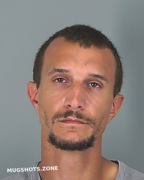KYLE ALEXANDER WETTSTEIN 06/20/2025 - Spartanburg County Mugshots Zone