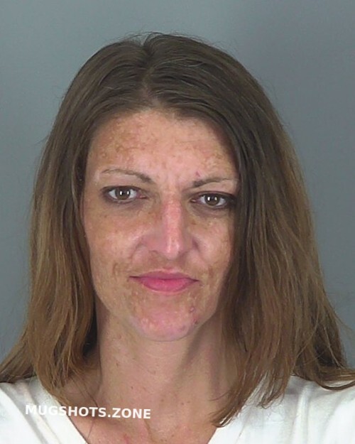 ERIN CASEY TINSLEY 06/25/2025 - Spartanburg County Mugshots Zone