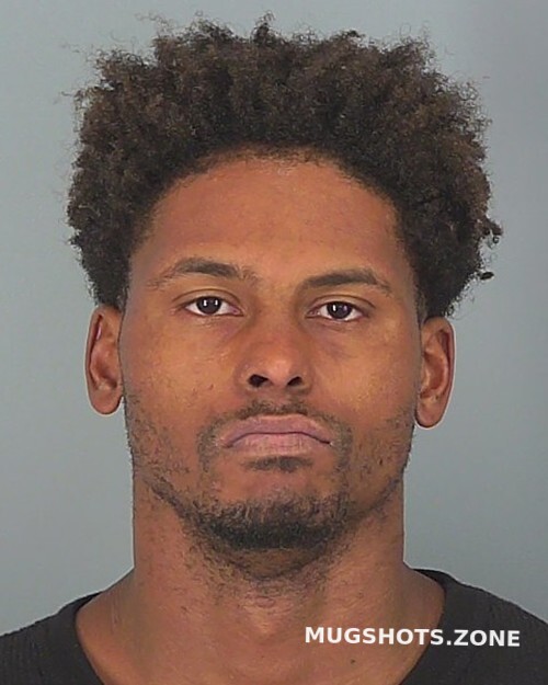 RAPHAEL DOMINIQUE HOEY 07/18/2025 - Spartanburg County Mugshots Zone