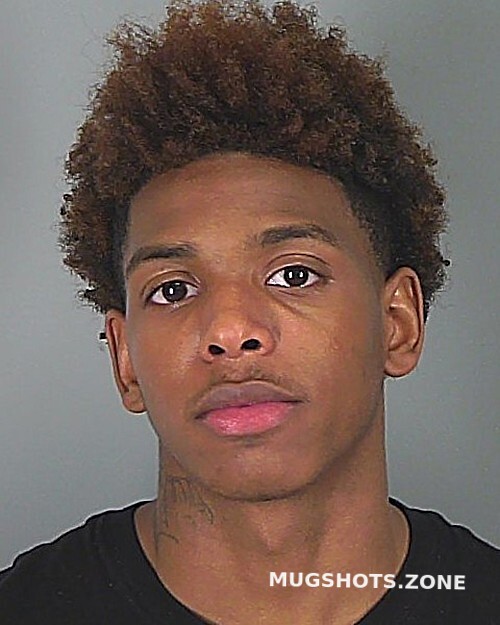 TIMOTHY JOHNSON 10/14/2025 - Spartanburg County Mugshots Zone