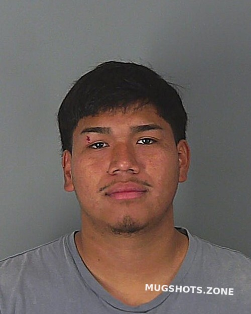 PEDRO IGNACIO-ARENAS 01/07/2026 - Spartanburg County Mugshots Zone