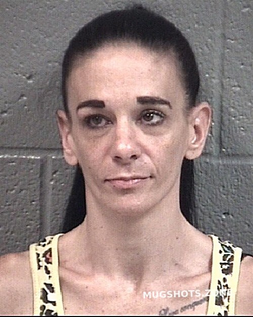 COLSON CHRISTINA ANN 06/03/2021 - Stanly County Mugshots Zone