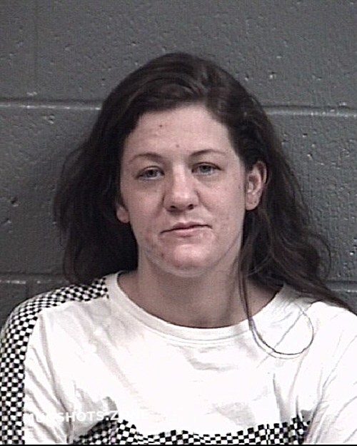 SWINK JAMIE DANIELLE 03/02/2022 - Stanly County Mugshots Zone