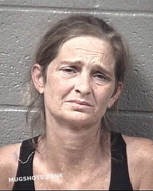 SEDBERRY AMY SUE 11/11/2022 - Stanly County Mugshots Zone