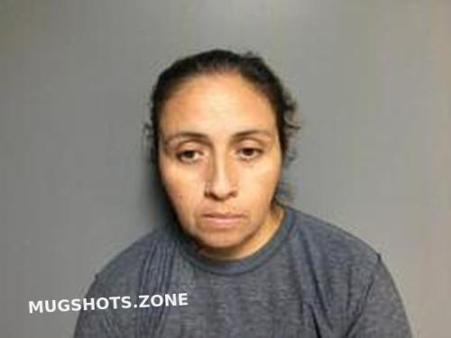 HILDA MUNOZ 10/11/2021 - St. Clair County Mugshots Zone