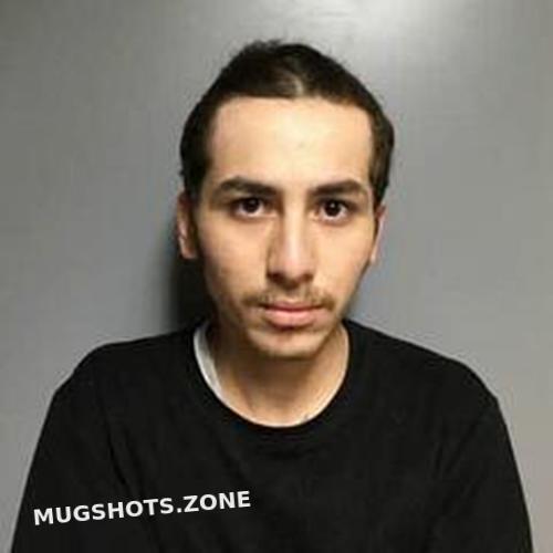 GABRIEL MATHEWS 04/21/2022 - St. Clair County Mugshots Zone