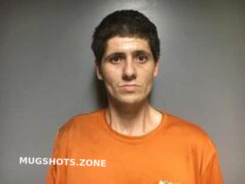 CHRISTOPHER PICKRELL 11/02/2022 - St. Clair County Mugshots Zone