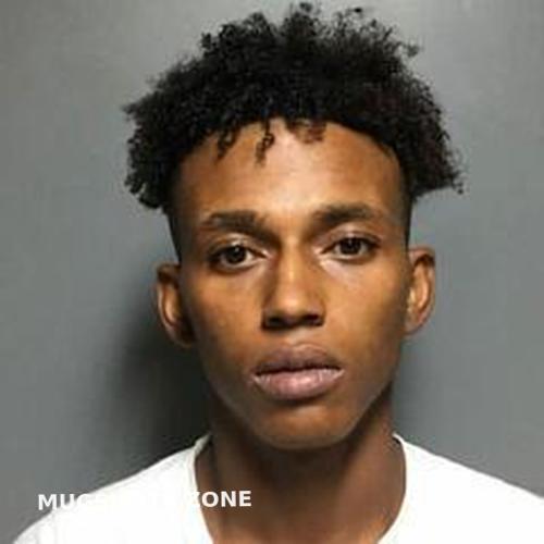 JAYLON WILLIAMS 08/16/2023 - St. Clair County Mugshots Zone