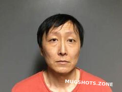 CHING CHEN 08/22/2023 - St. Clair County Mugshots Zone