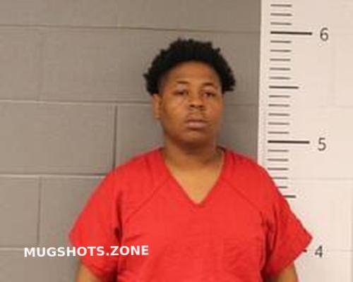JAYLIN JOHNSON 12/18/2023 - St. Clair County Mugshots Zone