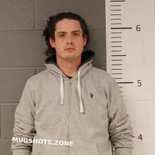 Sandar Johnson 01 21 2024 St Clair County Mugshots Zone