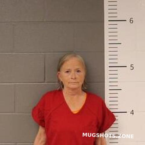 PAULA CARON 02/13/2024 - St. Clair County Mugshots Zone