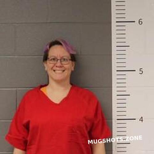 REBECCA DAVIS 02/13/2024 - St. Clair County Mugshots Zone