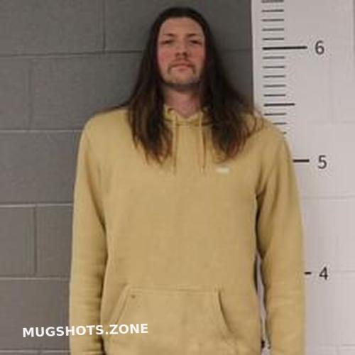 NICHOLAS GRIFFITH 02/19/2024 - St. Clair County Mugshots Zone