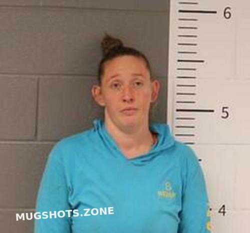 LEIGHA DAVIS 02/23/2024 - St. Clair County Mugshots Zone