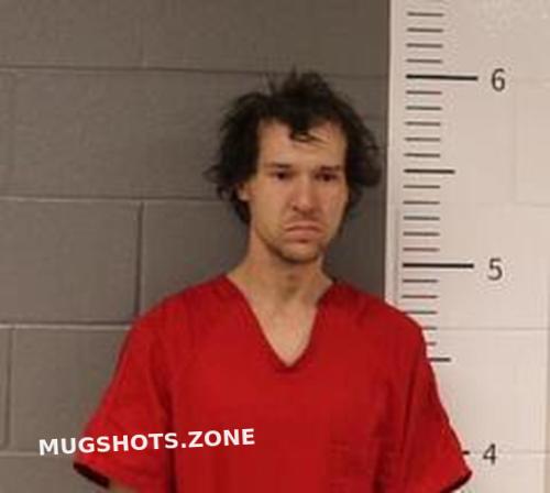 JAMES SIMPSON 02/28/2024 - St. Clair County Mugshots Zone