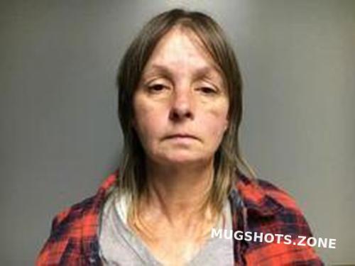 ELIZABETH MCFARLANE 03/09/2024 - St. Clair County Mugshots Zone