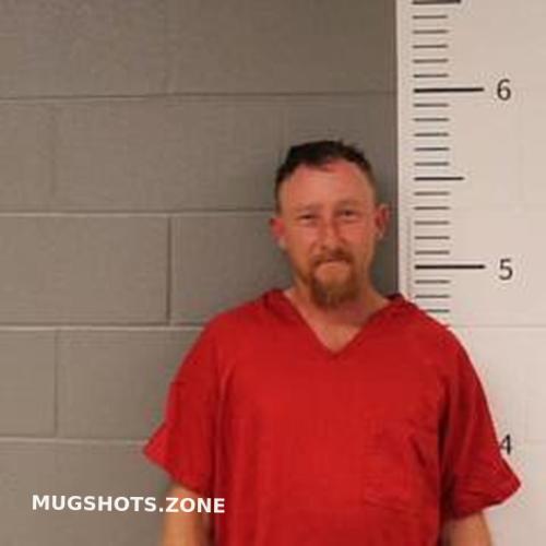 DANIEL DAVIS 03/31/2024 - St. Clair County Mugshots Zone