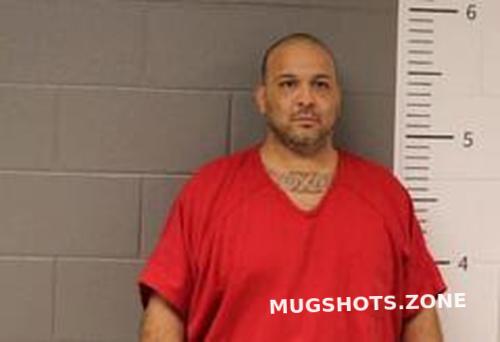 MARIO SALINAS 04/14/2024 - St. Clair County Mugshots Zone