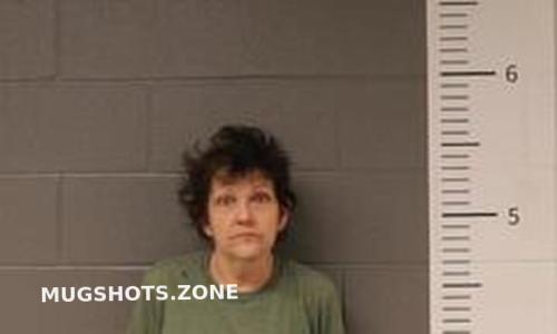 SUSAN FREY 05/04/2024 - St. Clair County Mugshots Zone