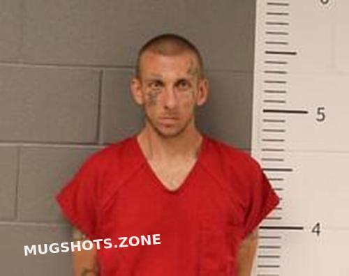 MYKAL WILKINSON 08/08/2024 - St. Clair County Mugshots Zone