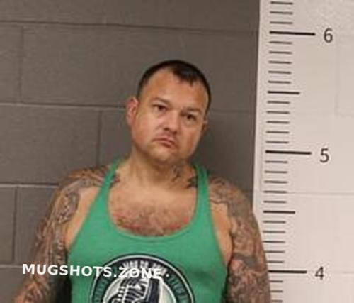MICHAEL SEGREST 08/13/2024 - St. Clair County Mugshots Zone