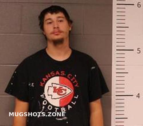 TERRY PATTERSON 08/15/2024 - St. Clair County Mugshots Zone