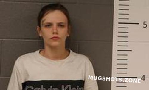 TAYLOR CAIN 08/19/2024 - St. Clair County Mugshots Zone