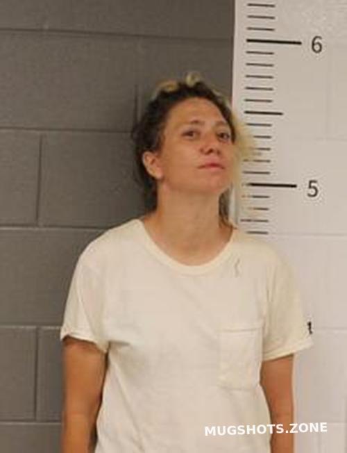 ALICE PRICE 09/19/2024 - St. Clair County Mugshots Zone