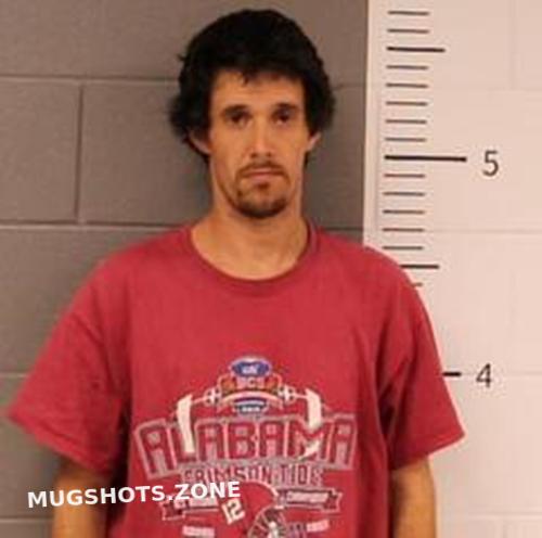 DUSTIN WEBBER 11/06/2024 - St. Clair County Mugshots Zone