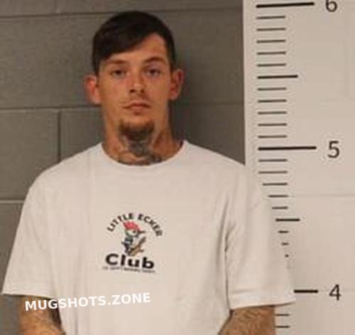 CODY DELK 11/25/2024 - St. Clair County Mugshots Zone