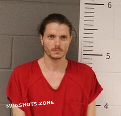 NIKOLAS JACKSON 11/27/2024 - St. Clair County Mugshots Zone