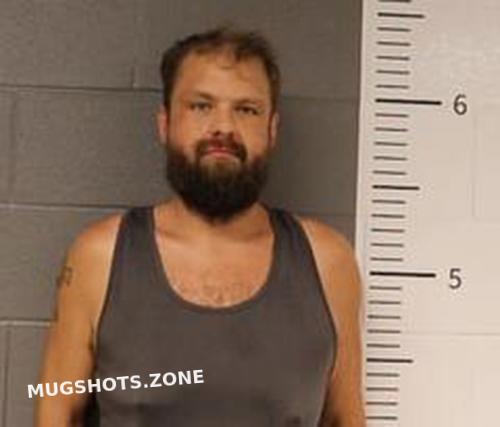 DANIEL CAUDLE 12/19/2024 - St. Clair County Mugshots Zone