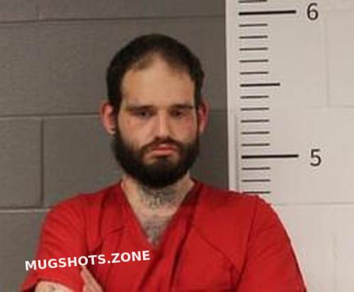 BRIAN HORSLEY 12/20/2024 - St. Clair County Mugshots Zone