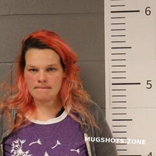 KAYLA LEWALLEN 01/14/2025 - St. Clair County Mugshots Zone