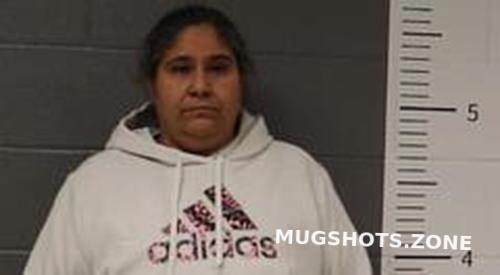 FRANCESCA ROMERO 01/29/2025 - St. Clair County Mugshots Zone