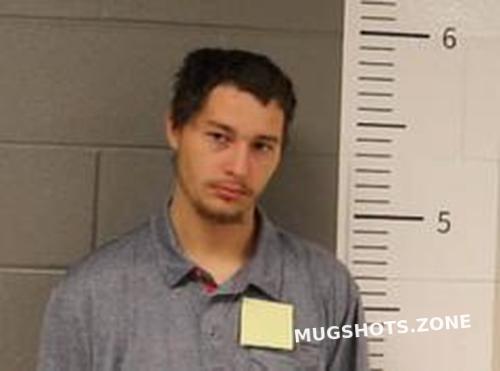 TERRY PATTERSON 02/02/2025 - St. Clair County Mugshots Zone