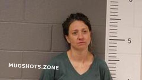 ALICE PRICE 02/12/2025 - St. Clair County Mugshots Zone