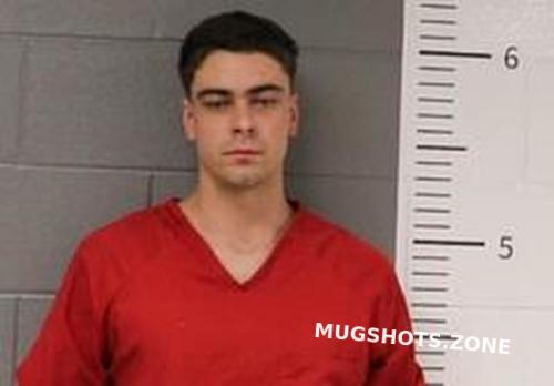 SAMUEL EVERETT 02/15/2025 - St. Clair County Mugshots Zone SAMUEL EVERETT 02/15/2025 - St. Clair County Mugshots Zone