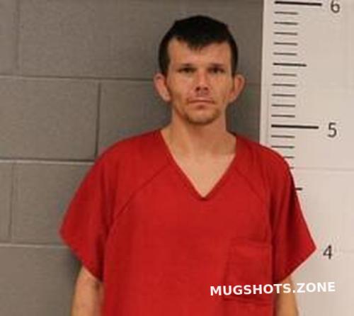 MICHAEL PILGRIM 02/18/2025 - St. Clair County Mugshots Zone