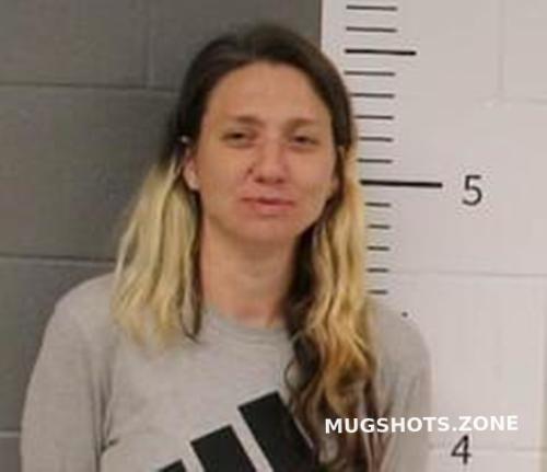 ALICE PRICE 02/20/2025 - St. Clair County Mugshots Zone