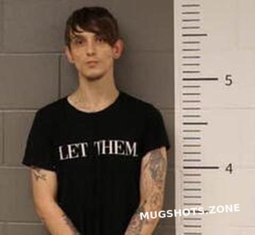 CHRISTOPHER WEEMS 02/21/2025 - St. Clair County Mugshots Zone